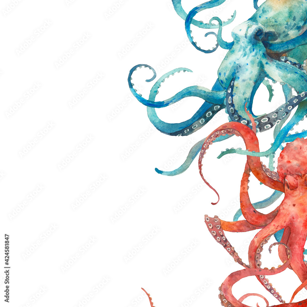 Octopus border. Watercolor squid frame isolated on white background ...