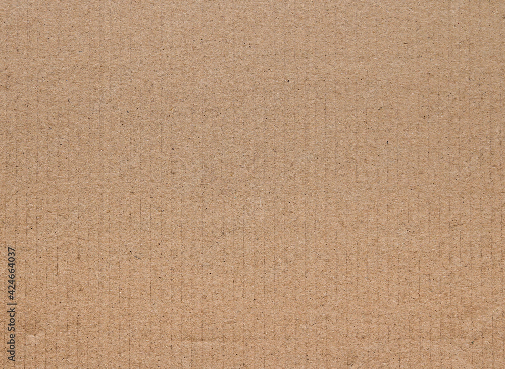 Seamless Cardboard Box Texture