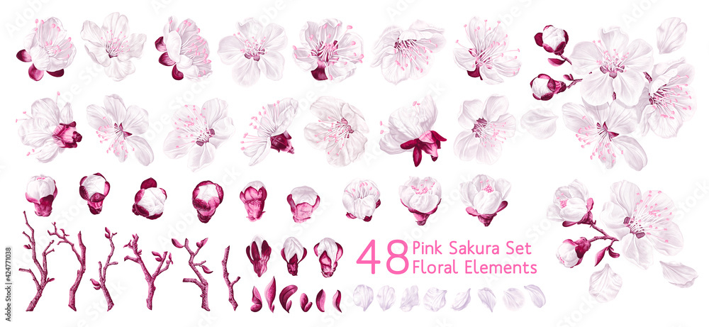 Big set of spring vector flowers. Realistic pink with white sakura ...