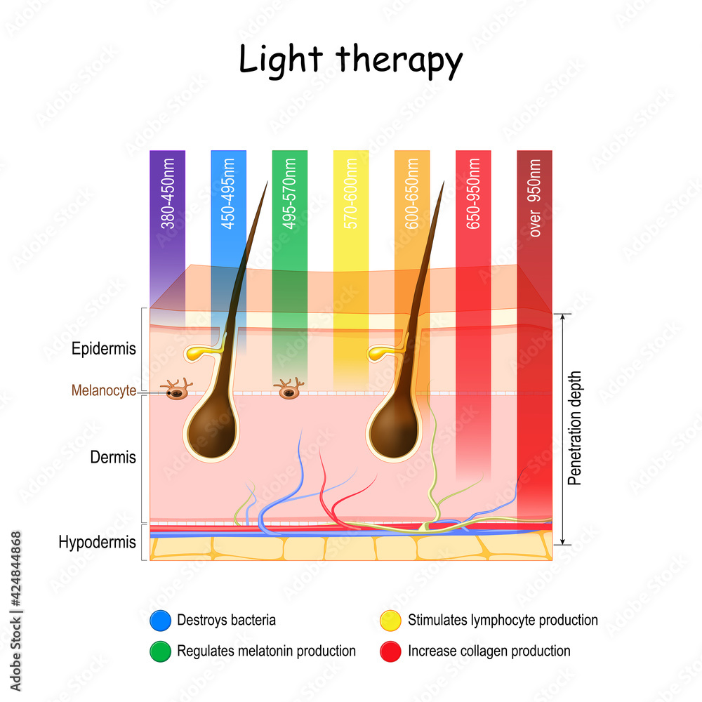 Light therapy. phototherapy of the skin Stock Vector | Adobe Stock