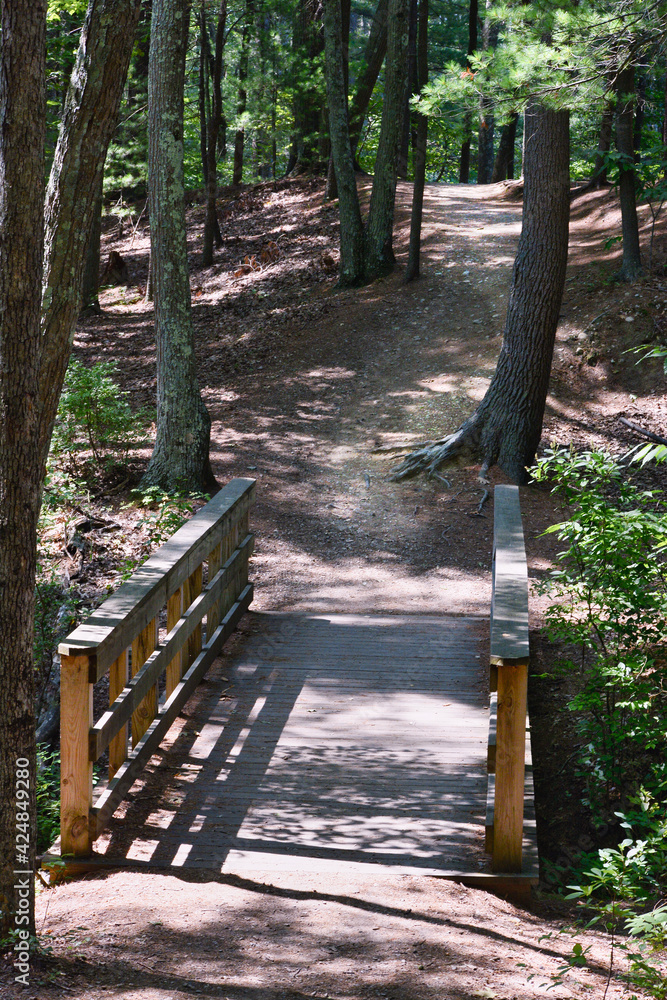 Peaceful trail thru the woods leading across a footbridge Stock Photo ...
