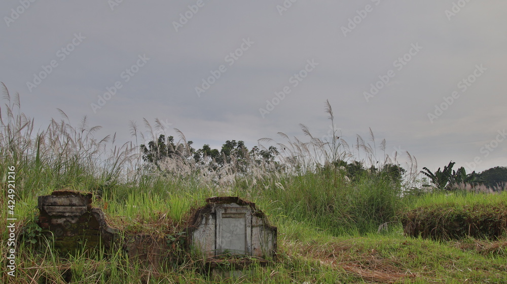 Chinese culture traditional concrete tombs with Chinese memorial name ...