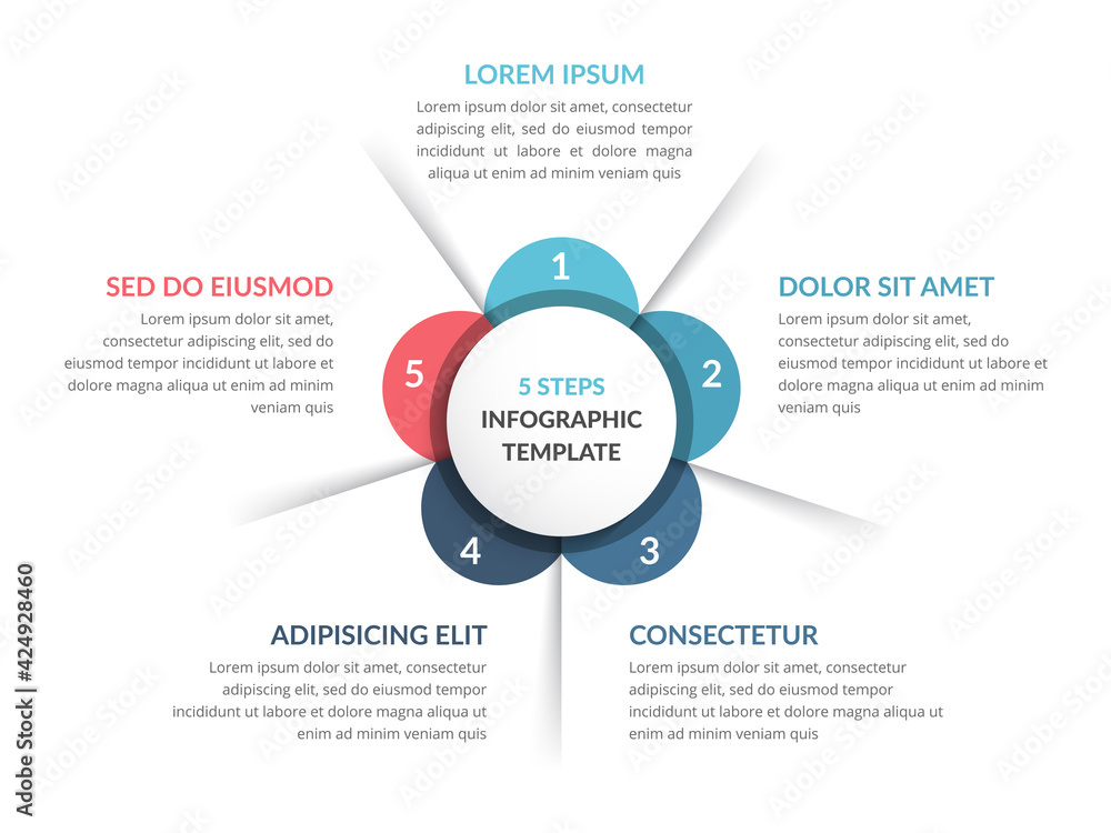 Circle Infographics - Five Elements Stock Vector | Adobe Stock