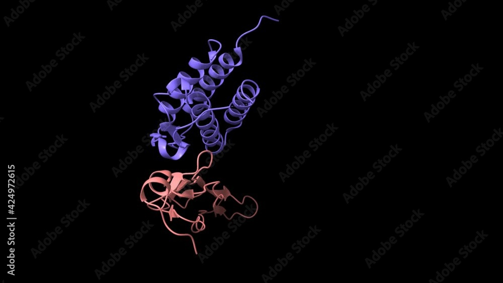 Structure of human interleukin-15 (blue) in complex with its alpha ...