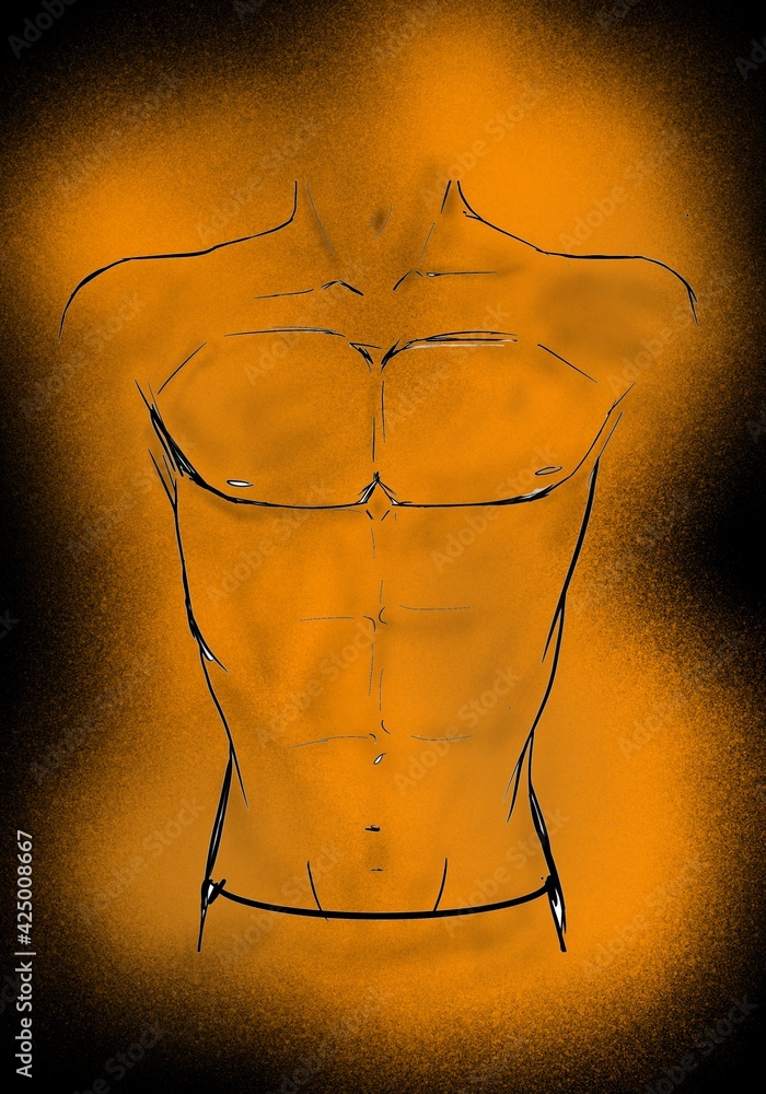 Dibujo de torso masculino musculoso sobre fondo naranja. Anatomía del ...