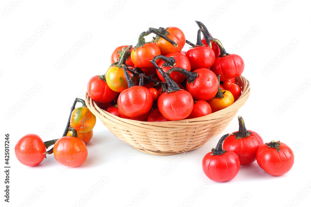 Ethiopian eggplant (African eggplant, Solanum aethiopicum, the bitter ...