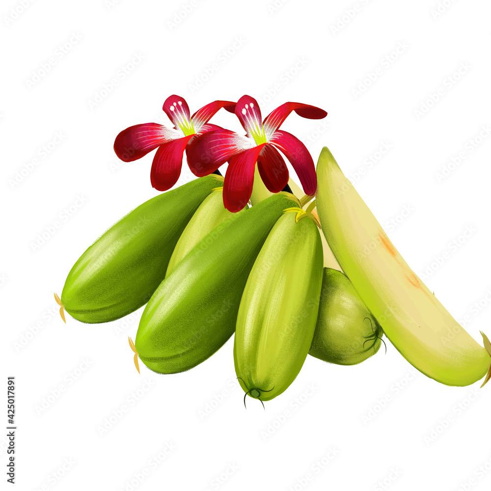 Averrhoa bilimbi isolated on white background. Bilimbi, cucumber tree ...