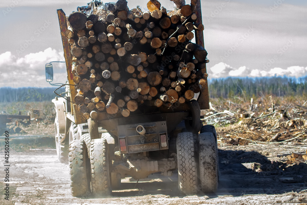 Forest industry. Operations for loading-unloading logging truck at ...