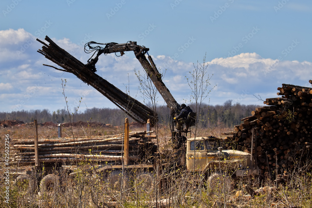 Forest industry. Operations for loading-unloading logging truck at ...