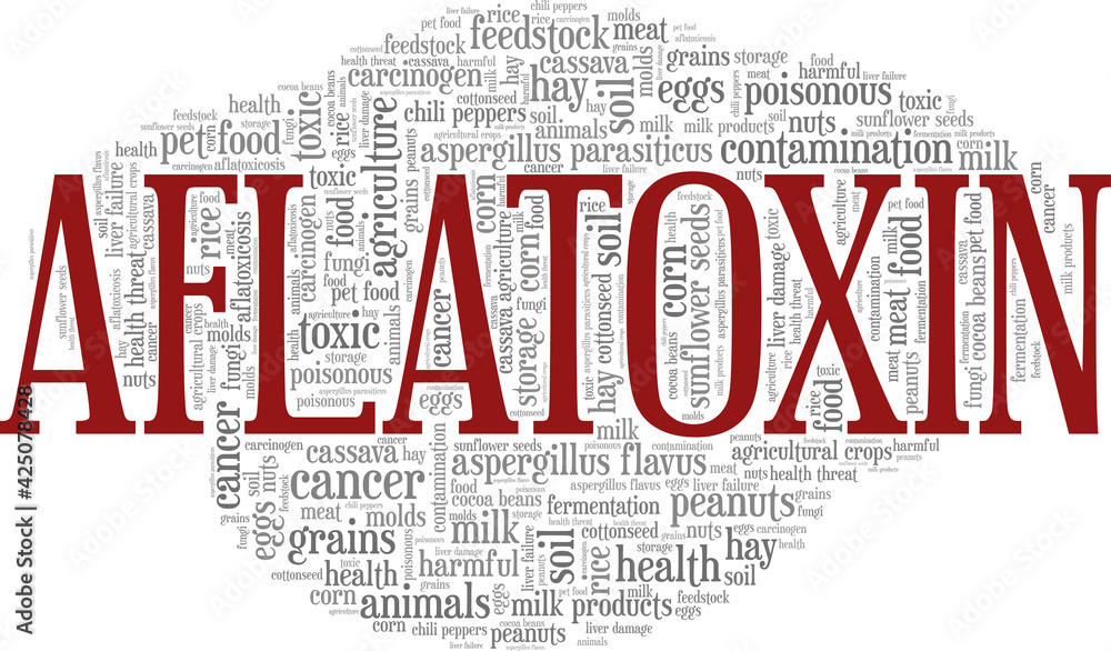 Aflatoxin vector illustration word cloud isolated on a white background ...