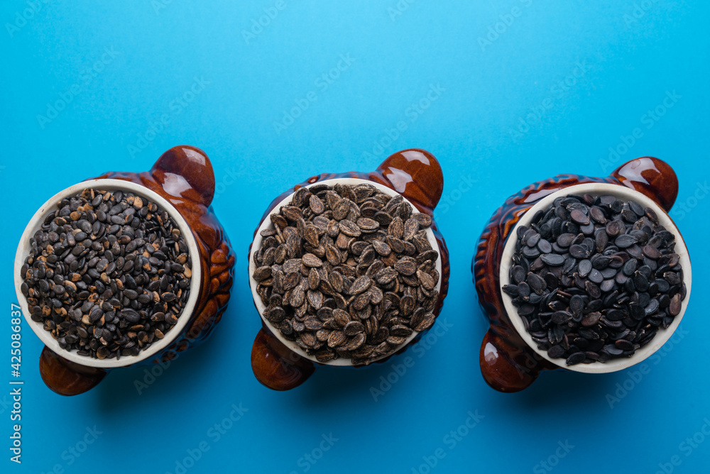 Watermelon seeds.Various varieties of watermelon seeds on a blue ...