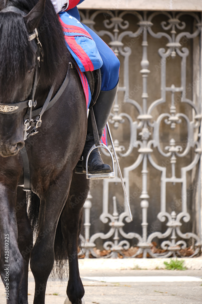 Soldier riding a horse during the changing of the guard at Madrid Royal ...
