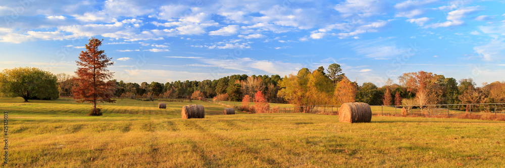 Hay Bales On The East Texas Landscape фотография Stock | Adobe Stock