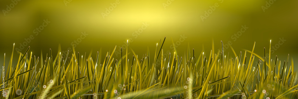 Realistic isolated zoom vector field weed grass. Can be used on flyers ...