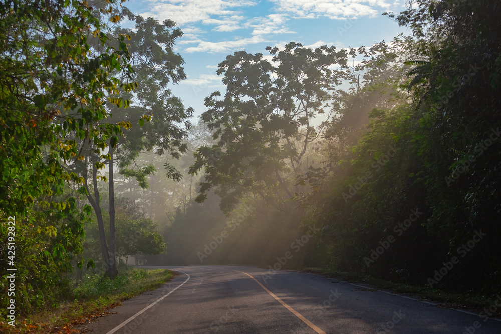 Sun rays through mist illumining a curved scenic road surrounded by ...