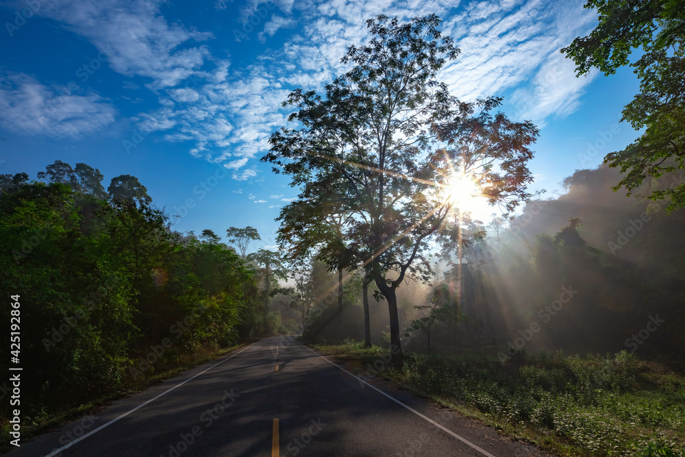 Sun rays through mist illumining a curved scenic road surrounded by ...