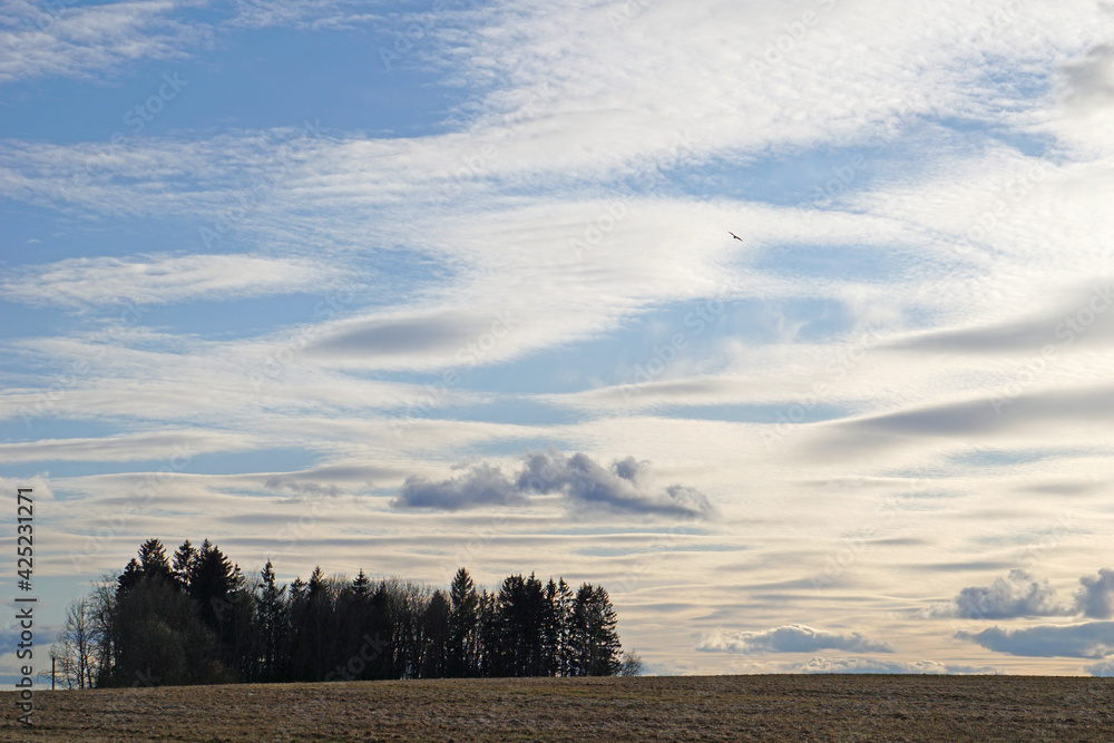 Early spring evening sky with trees on the horizon Stock Photo | Adobe ...