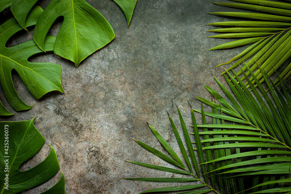 Creative nature layout made of tropical leaves. Summer concept. Fern ...