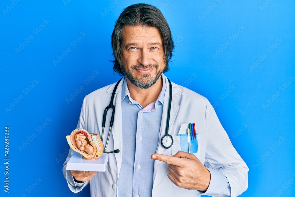 Middle age handsome gynecologist man holding anatomical model of female ...