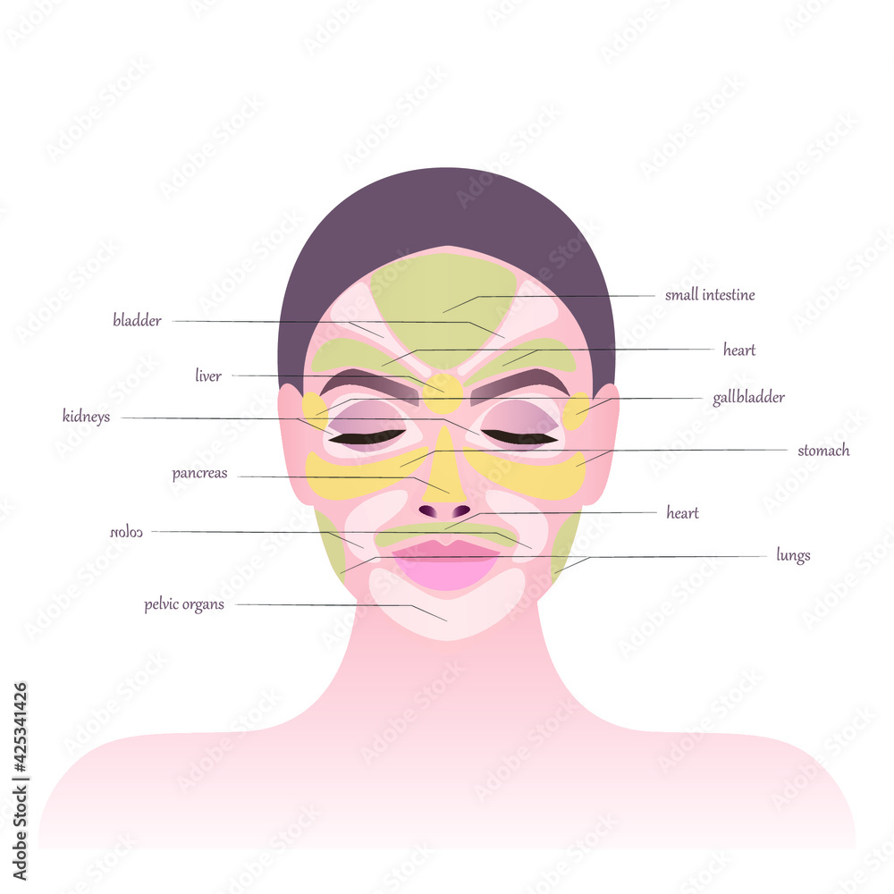 Vektorová grafika „Skin health. Areas on the face and main biological ...
