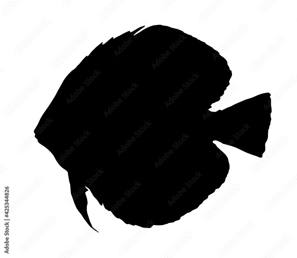 discus silhouette of a fish in a hand-drawn sketch style on a white ...
