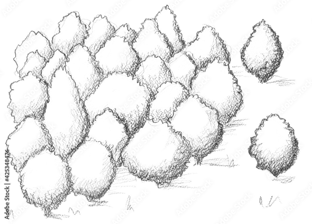 Hand pencil drawn forest. Fantasy map creator. Stock Illustration ...