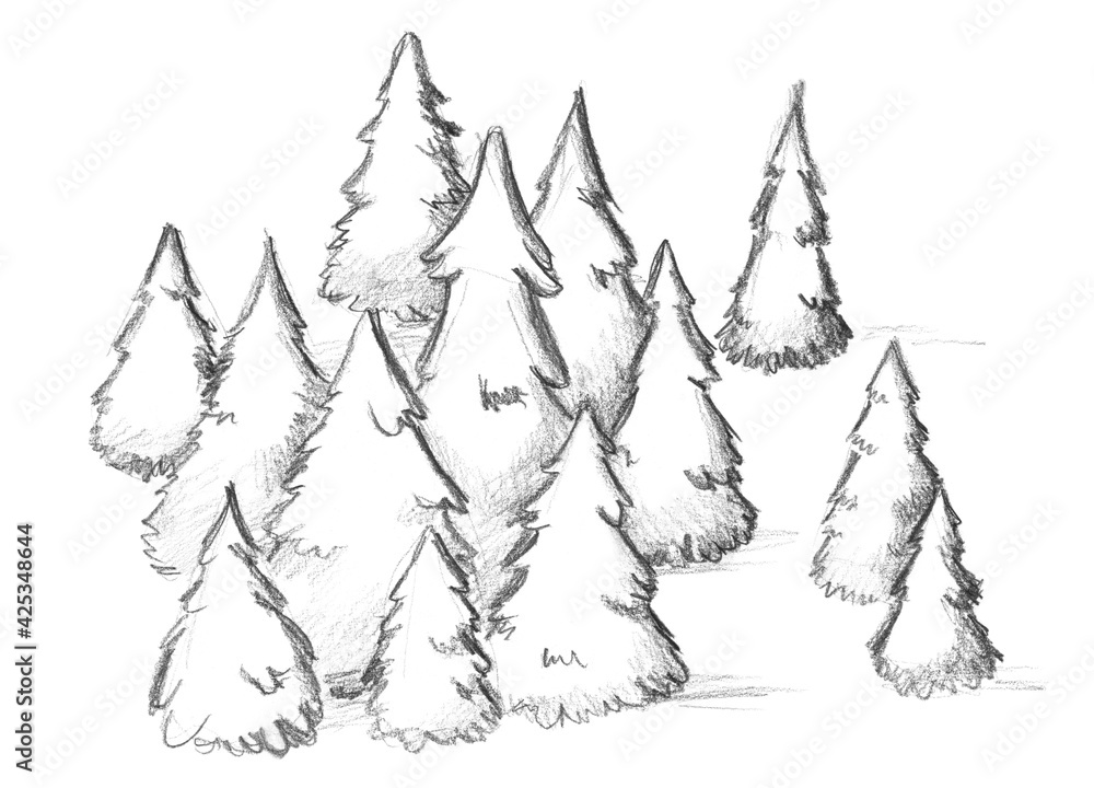 Hand pencil drawn pine forest. Fantasy map creator. Stock Illustration ...