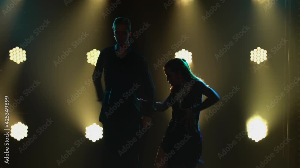 Professional performance of ballroom dancers in the Latin American ...