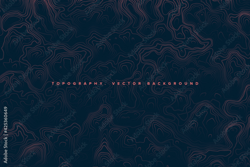 Red And Blue Topographic Detailed Contour Map Abstract Vector ...
