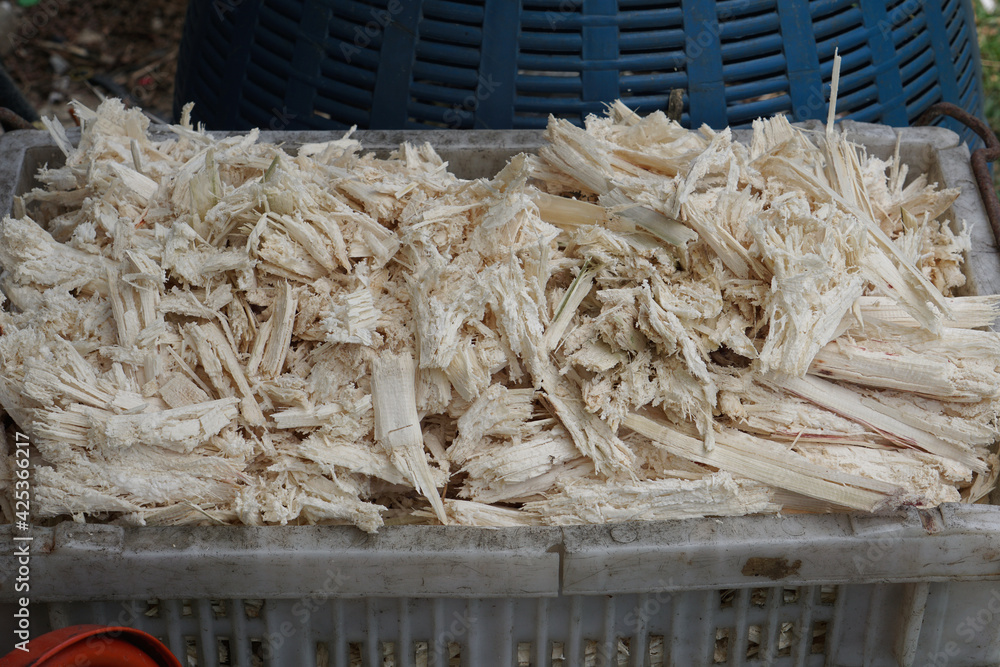 Dried bagasse is piled together. Sugarcane are completely squeezed out ...