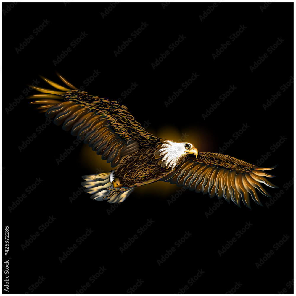 Soaring bald eagle. Realistic art portrait of a soaring bald eagle on a ... Soaring bald eagle. Realistic art portrait of a soaring bald eagle on a ...