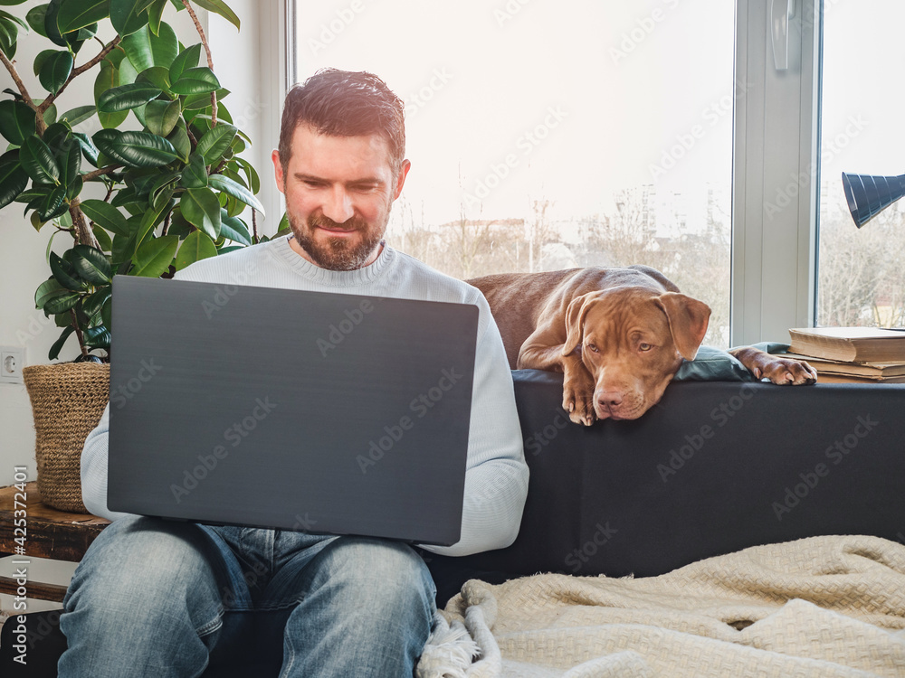 Handsome man and a charming puppy. Close-up, indoors. Studio photo ...
