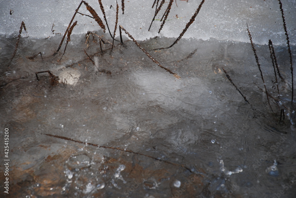 A deep puddle in the snow with melted water. A wide and deep puddle ...