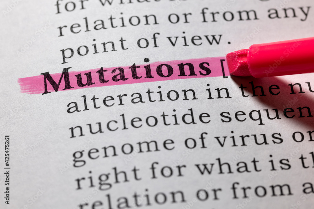 definition of mutations Stock Photo | Adobe Stock