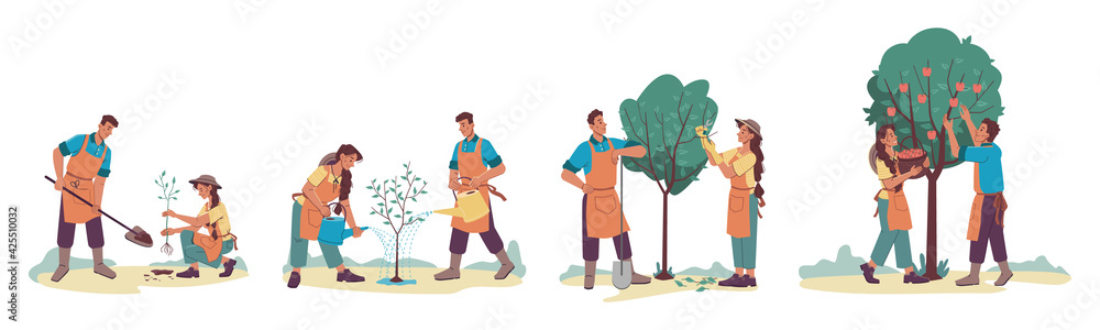 Planting tree isolated growth process set, cartoon man and woman ...