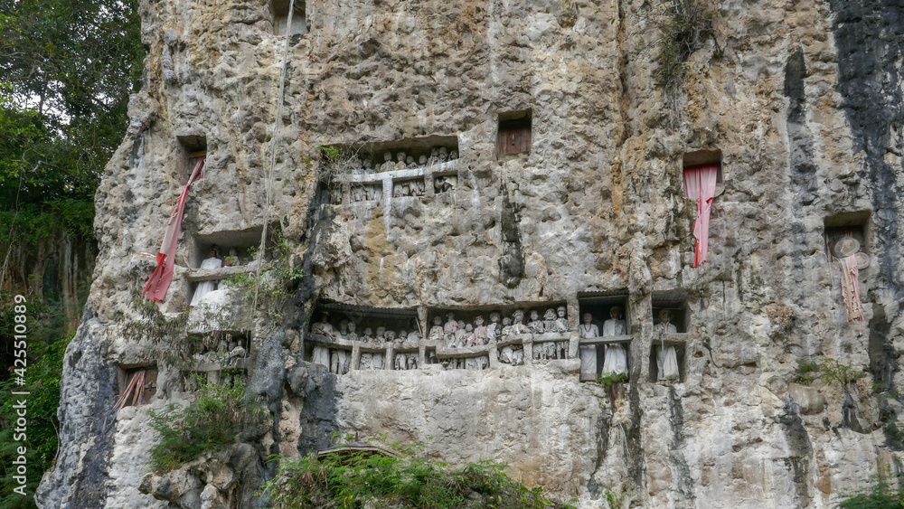 Landscape view of rock cliff with tau tau or wooden effigies of the ...