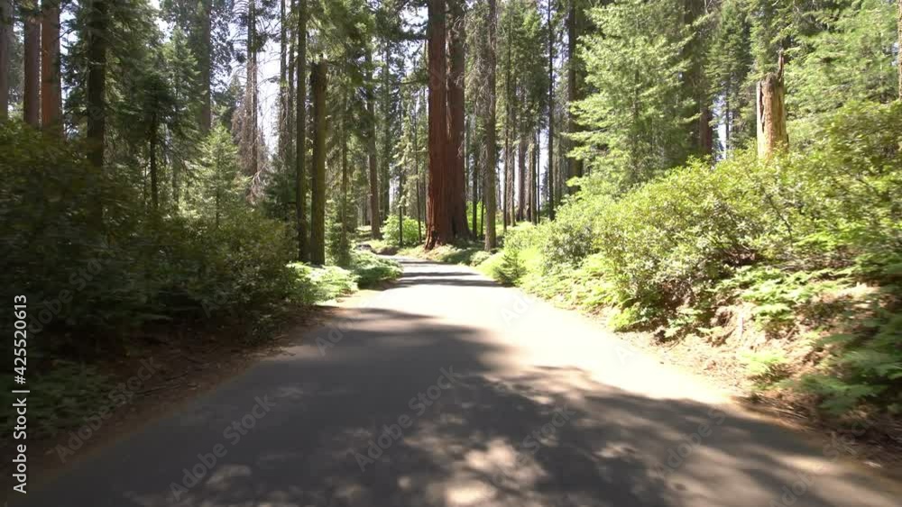 Sequoia National Park Driving Plate Crescent Meadow Rd Westbound 09 ...
