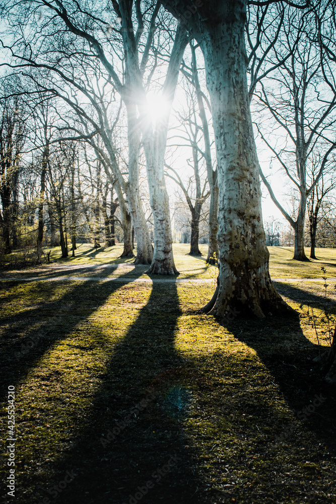 Beautiful spring light in a city park with warm light and shadows of ...