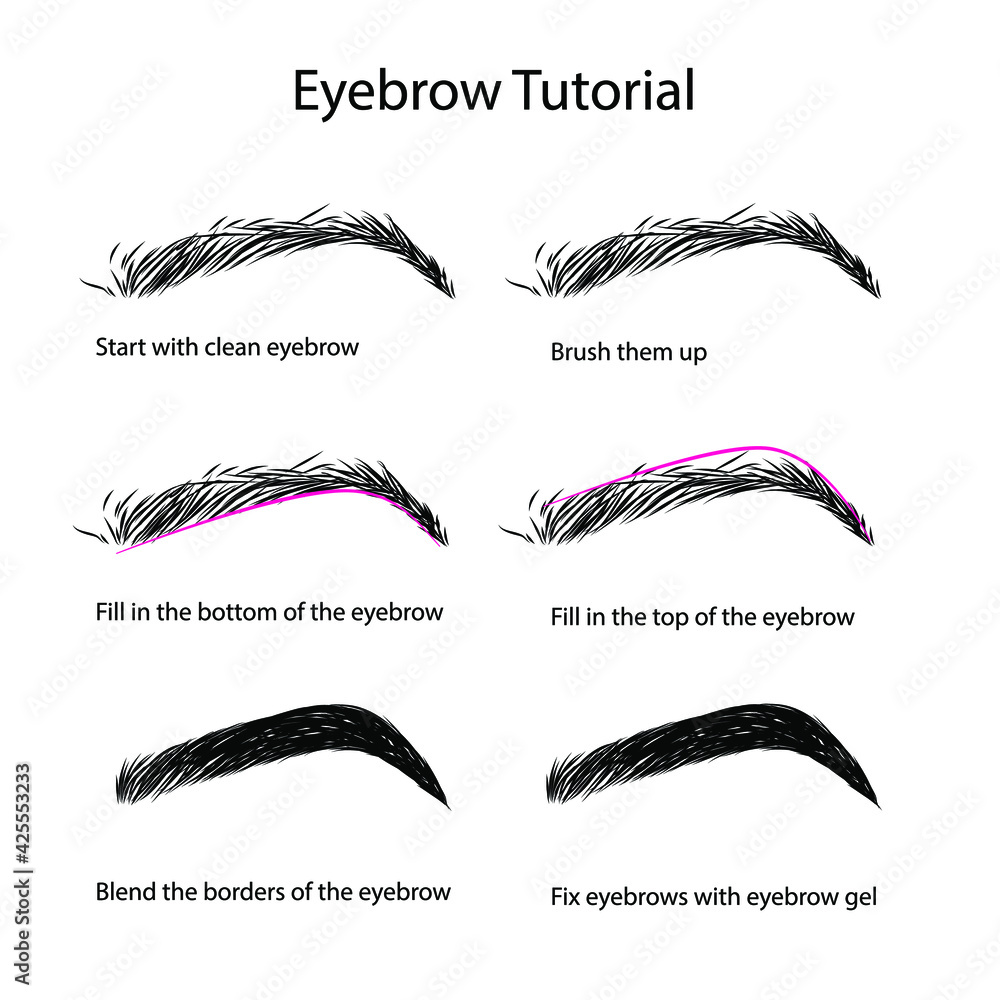 Step by step eyebrow tutorial. Hand drawn illustration of eyebrows ...