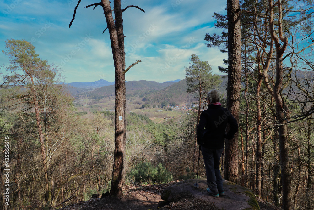 beautiful rocks and landscapes in the "Dahner Felsenland" - Germany ...