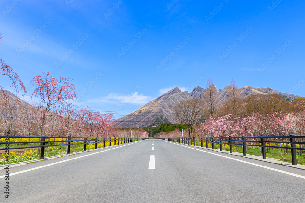根子岳と桜と道 熊本県阿蘇郡高森町 Mt.Nekodake and Cherry Blossoms and Road Kumamo-ken ...