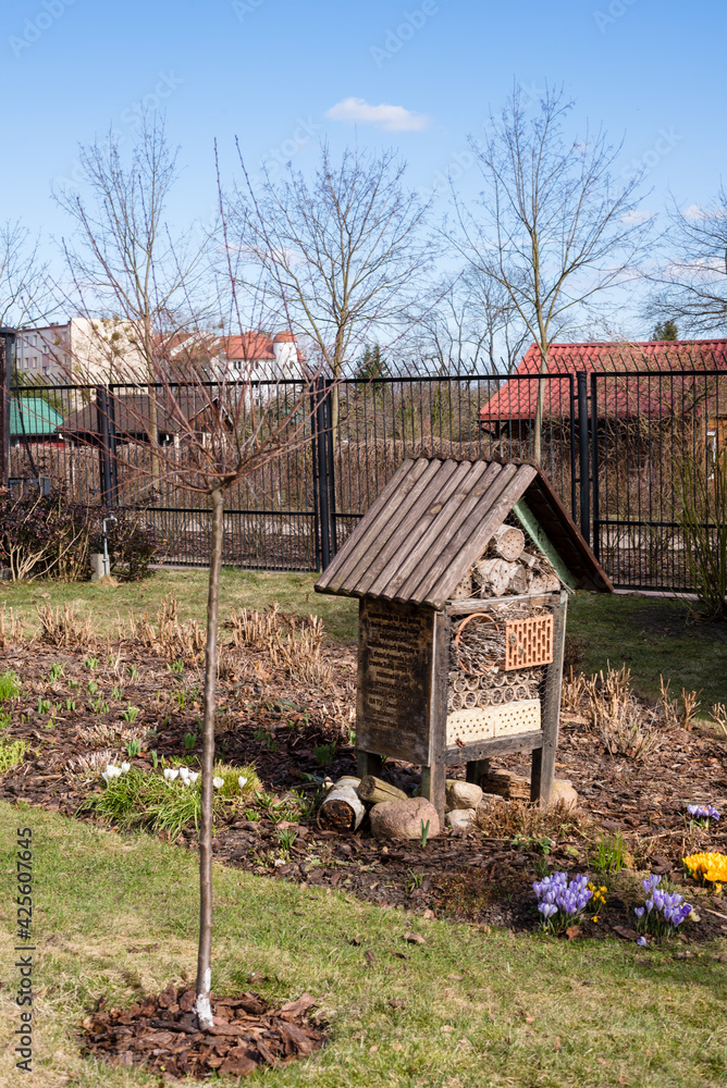 Ecological insect farm, beautiful flower bed with crocuses and young ...