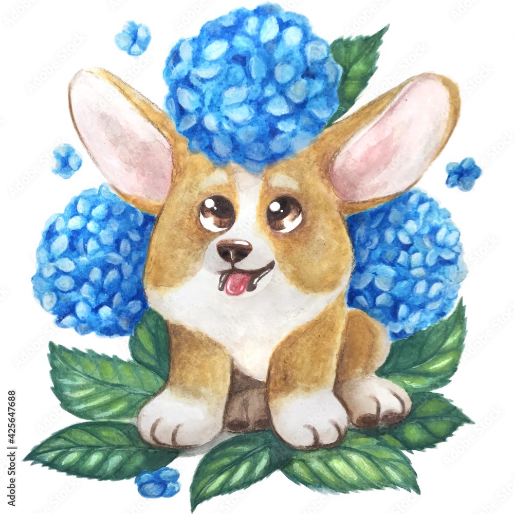 Watercolor drawing sketch painting of corgi dog with flowers hydrangea ...