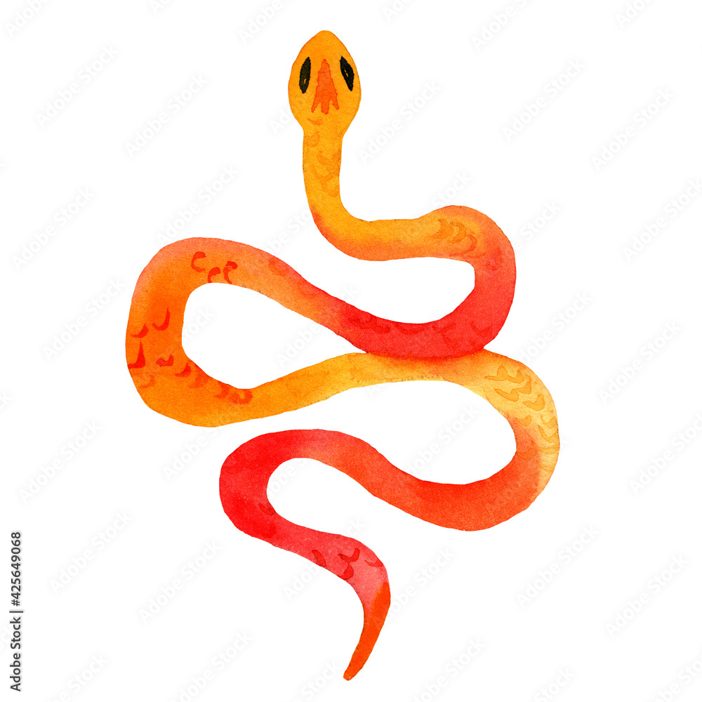 Watercolor hand drawn illustration of snakes in orange color with skin ...