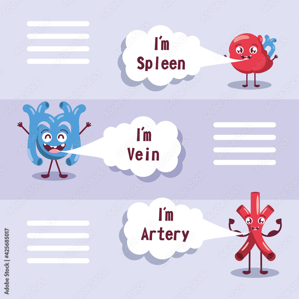 cartoon cute organs Stock Vector | Adobe Stock