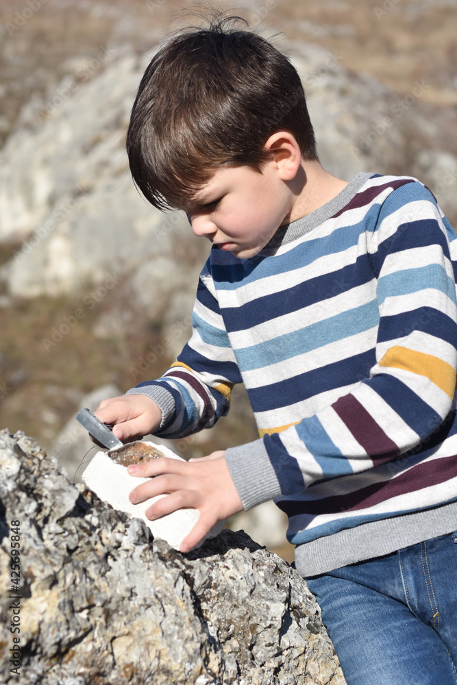 Happy child digging the dinosaur and having fun with archaeology ...
