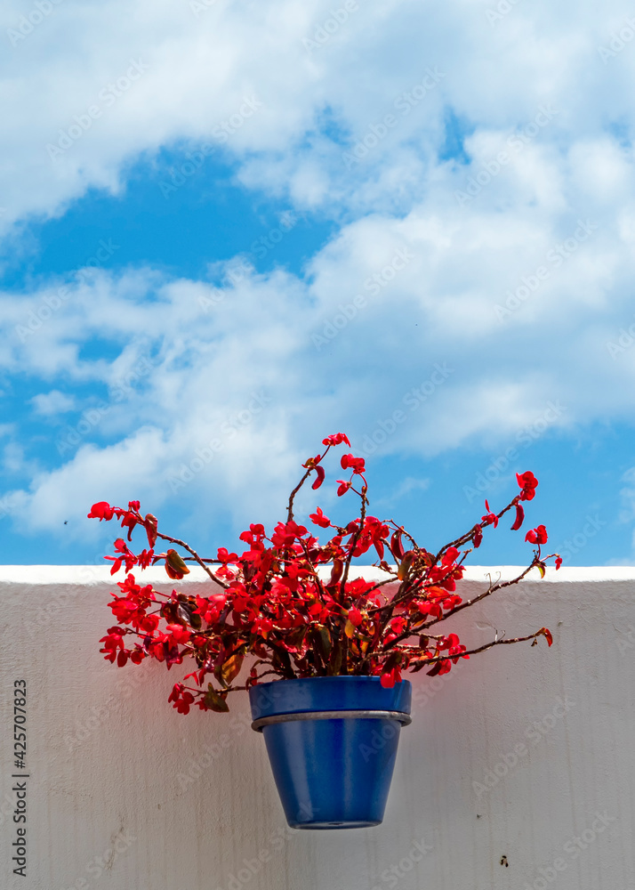 Maceta azul con flores rojas colgada de una pared con el cielo azul y ...