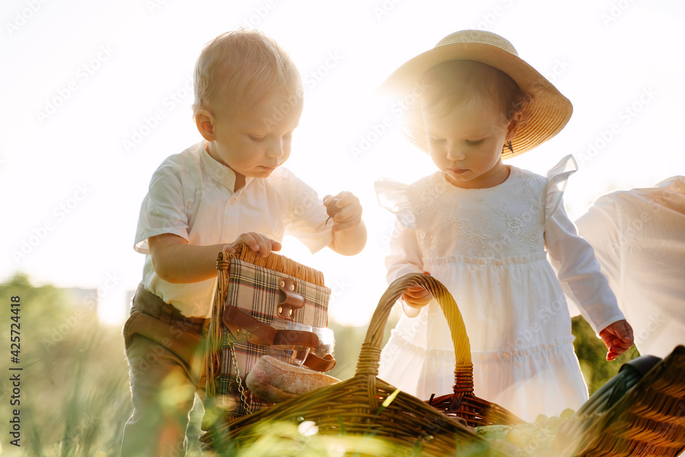 Little children brother and sister on a family picnic in the park climb ...