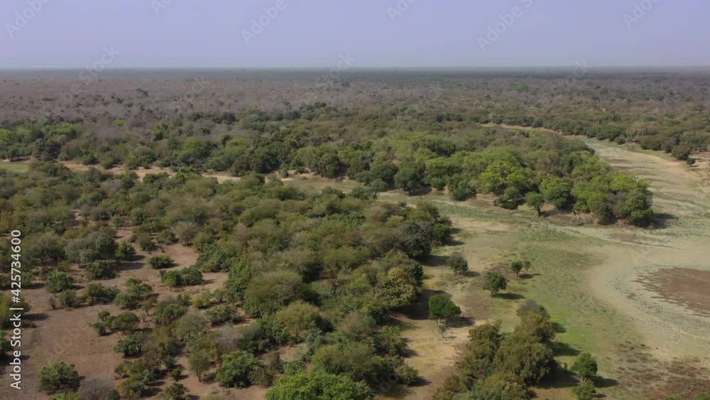 Aerial view of the typical dry forest and savannah in Zakouma National ...