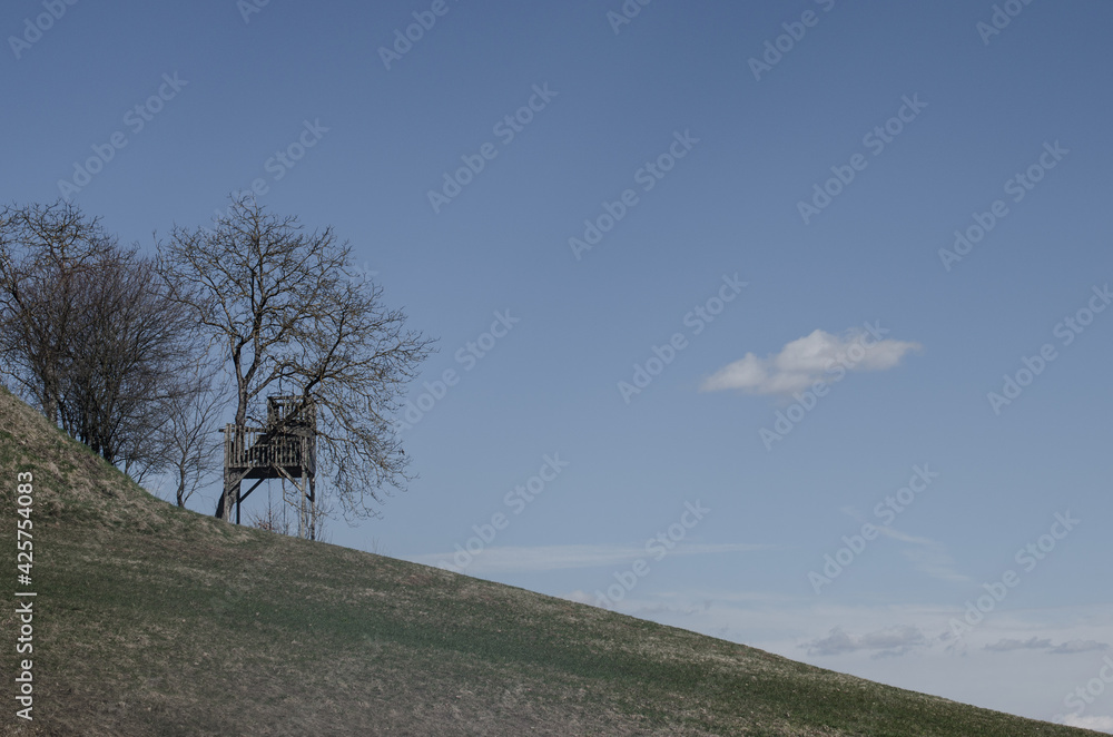 Treehouse looking perch in the field on a falling hill in front of a ...